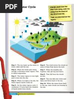 The Puddle Puzzle | PDF | Water