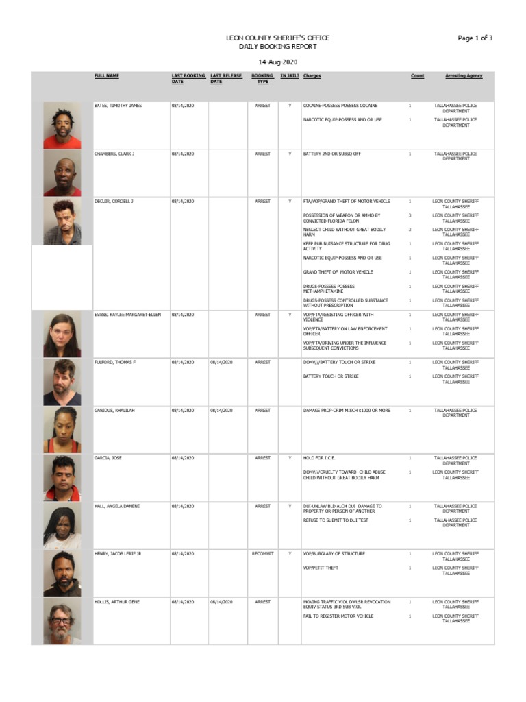 Leon County Booking Report: August 15, 2020 | PDF | Sheriffs In The ...