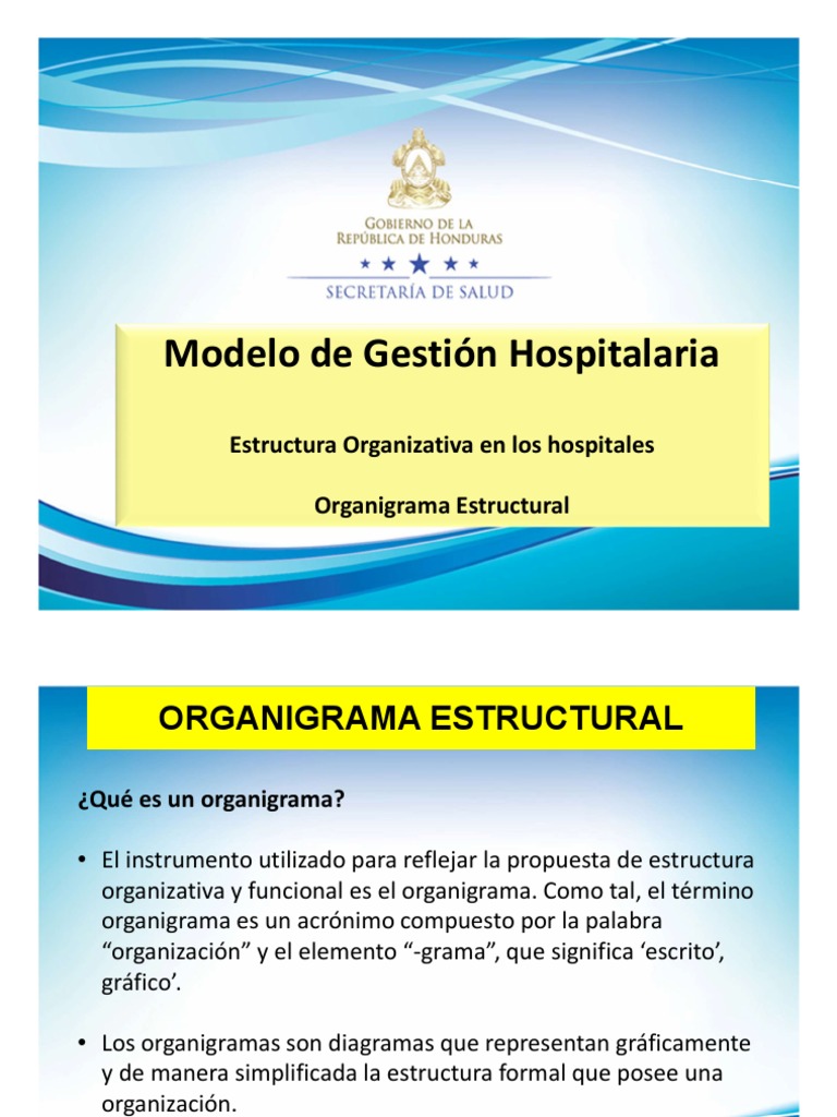 Estructura Organizativa MGH | Descargar gratis PDF | Hospital | Administración Pública
