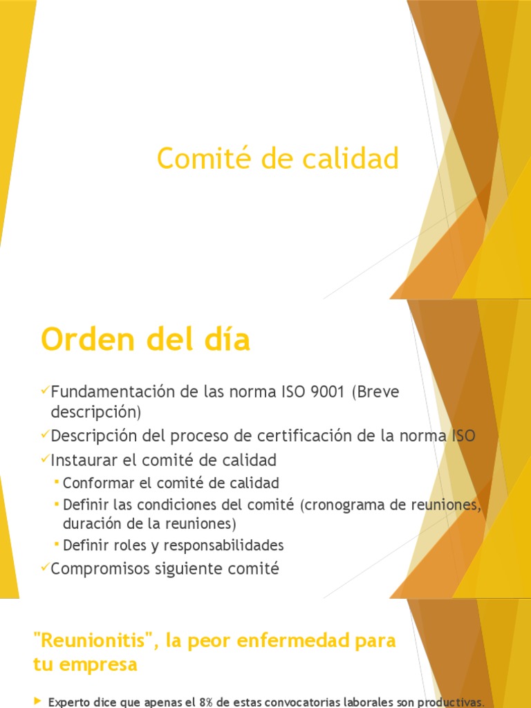 Comité de Calidad y ISO 9001 | PDF | Sistema de manejo de calidad ...