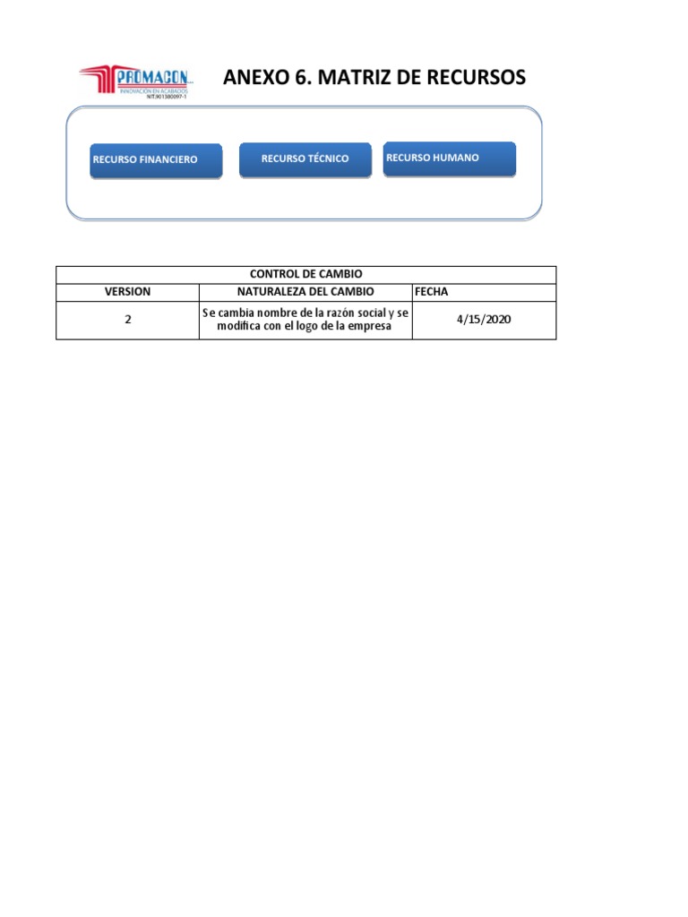 Matriz de Recursos | PDF | Economias | Business