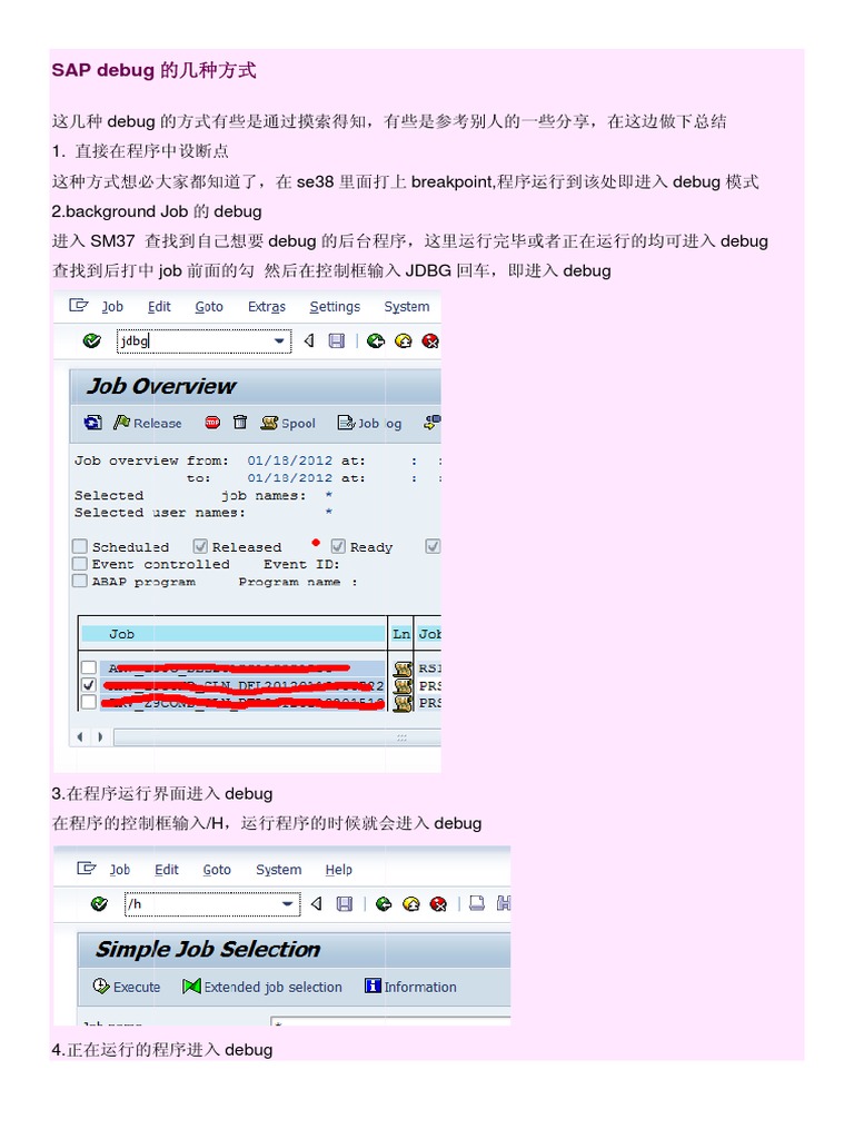 ABAP - Chinese SAP Debug PDF | PDF