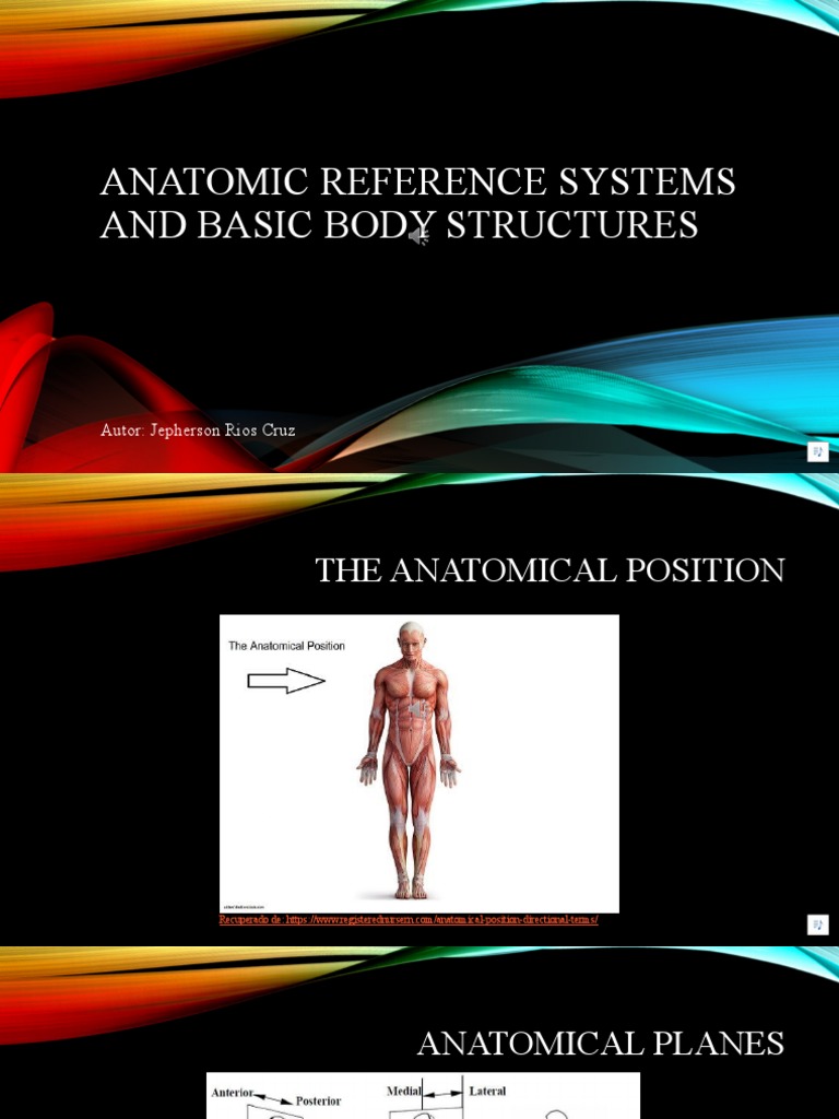 Anatomic Reference Systems and Basic Body Structures | PDF