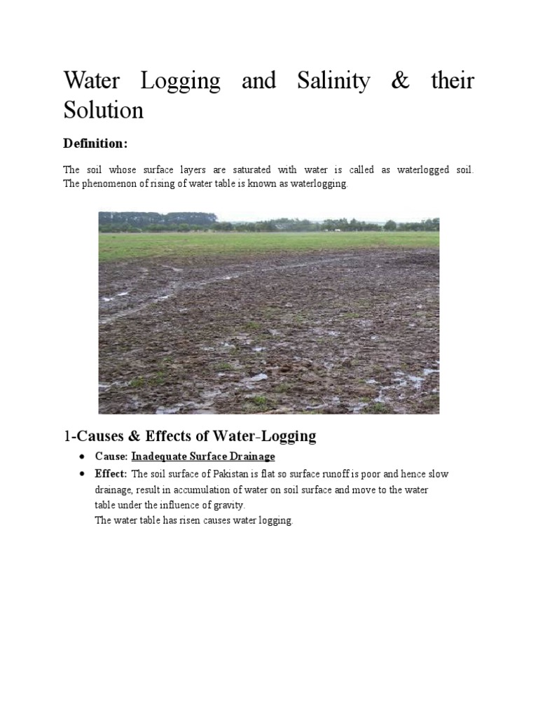 Water Logging and Salinity | PDF | Drainage | Soil