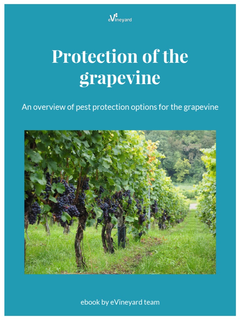 An Overview of Pest Protection Options For The Grapevine | PDF ...