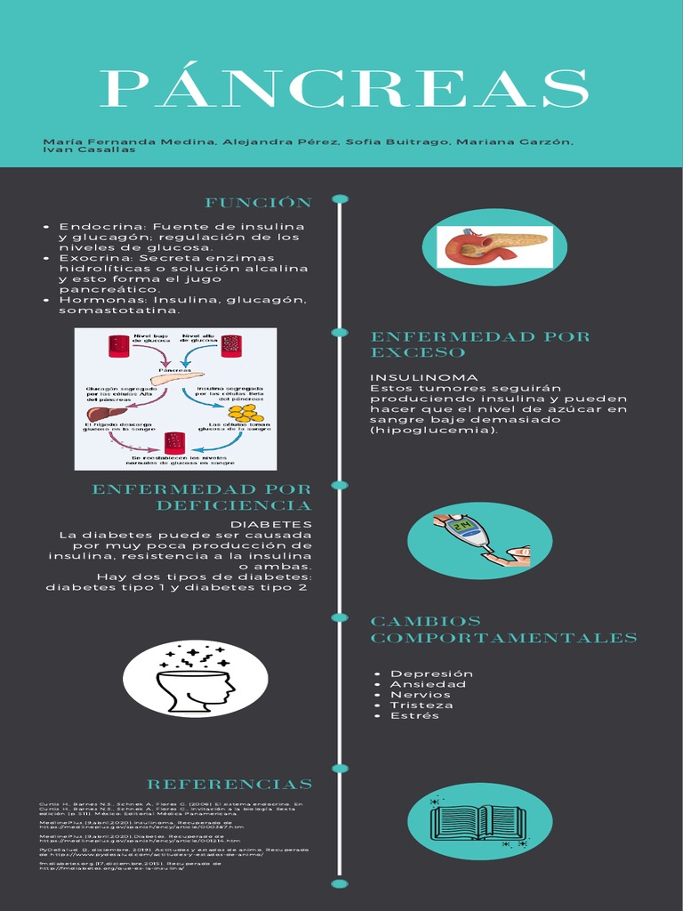 Infografía Páncreas | PDF | Diabetes | Insulina