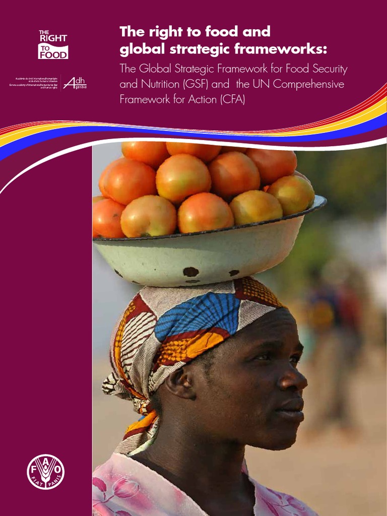 The Right To Food and Global Strategic Frameworks | PDF | Food And ...