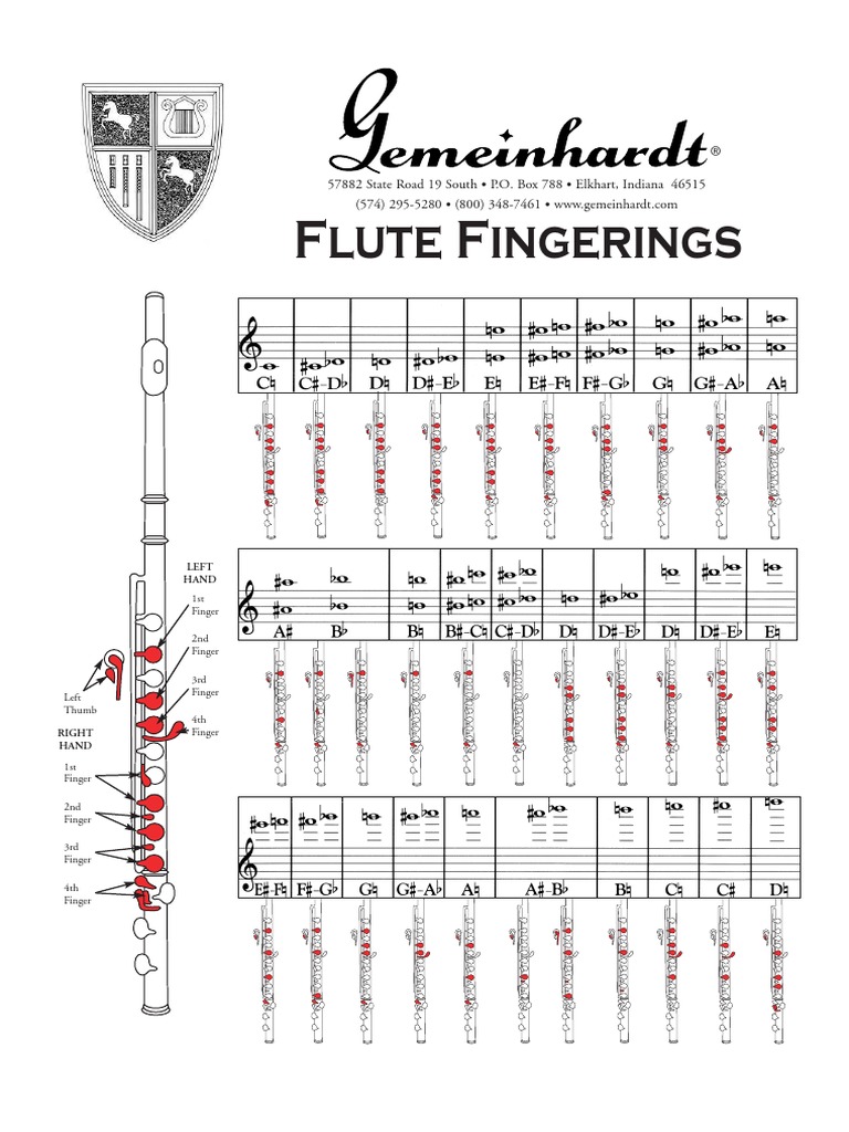 Digitacion Flauta Traversa | PDF