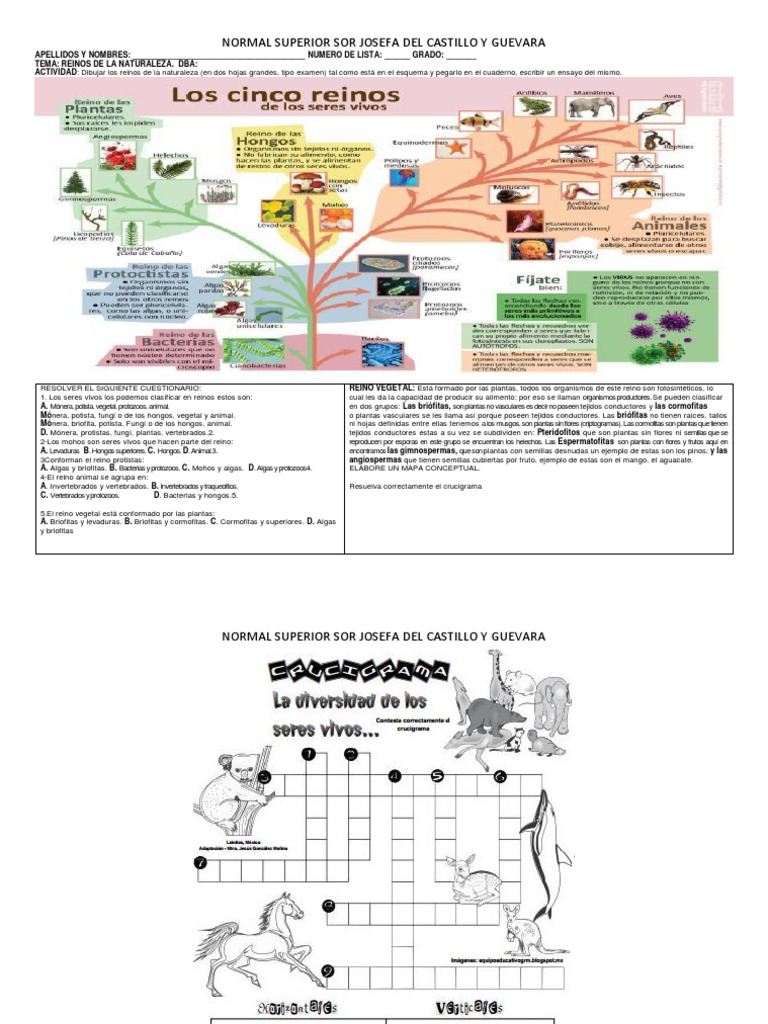 Actividades sobre los 5 Reinos de la Naturaleza | PDF | Plantas | Hongo