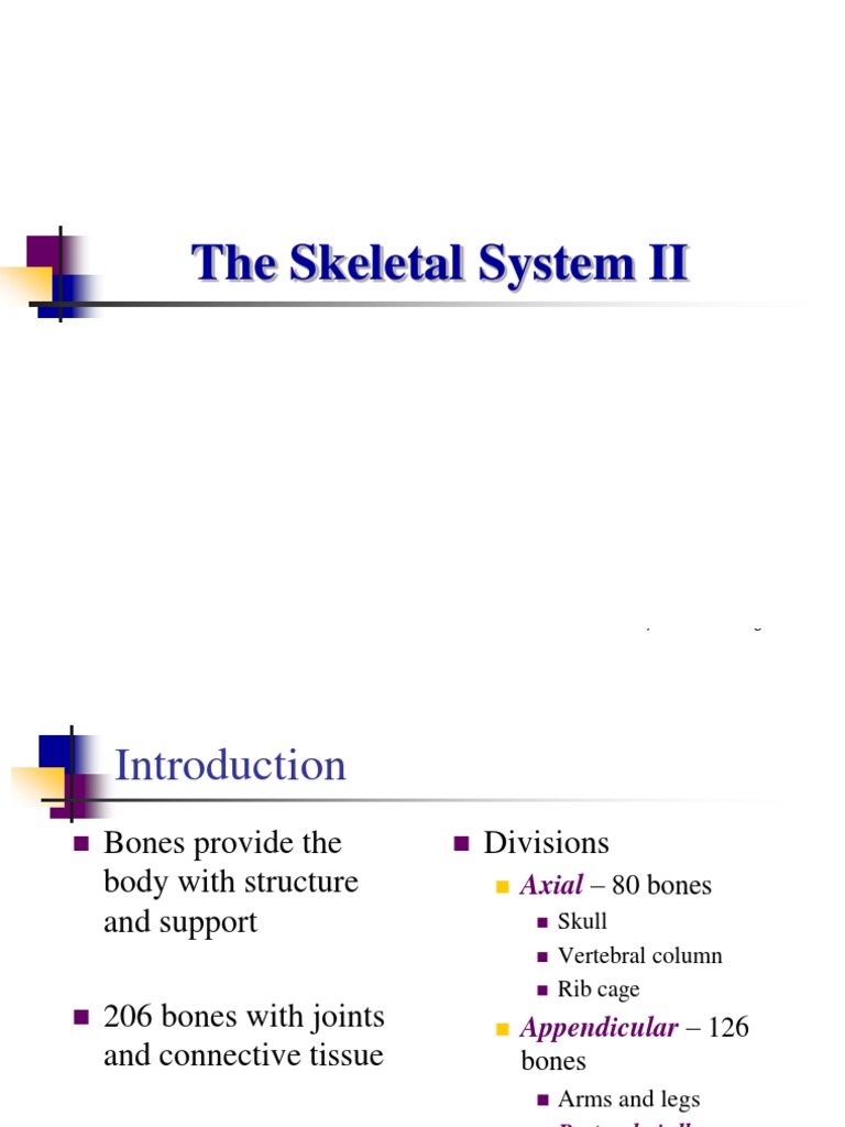 Skeletal System Part II | PDF | Skull | Bone