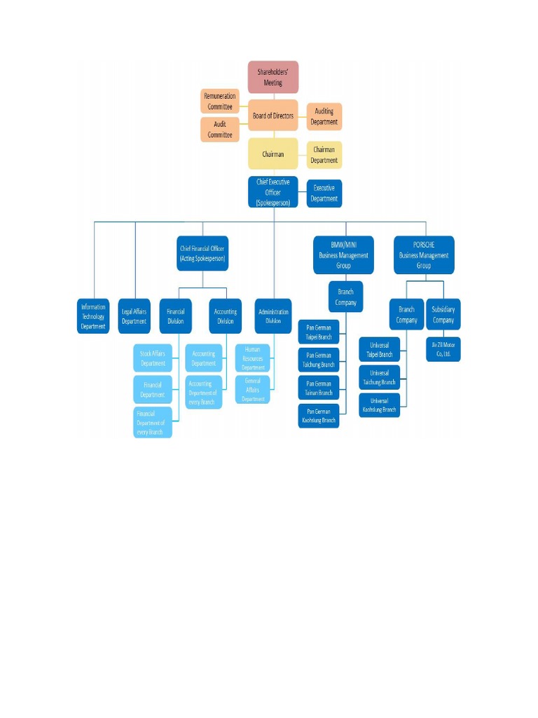 Tarea Tesla and BMW Organigrama | PDF