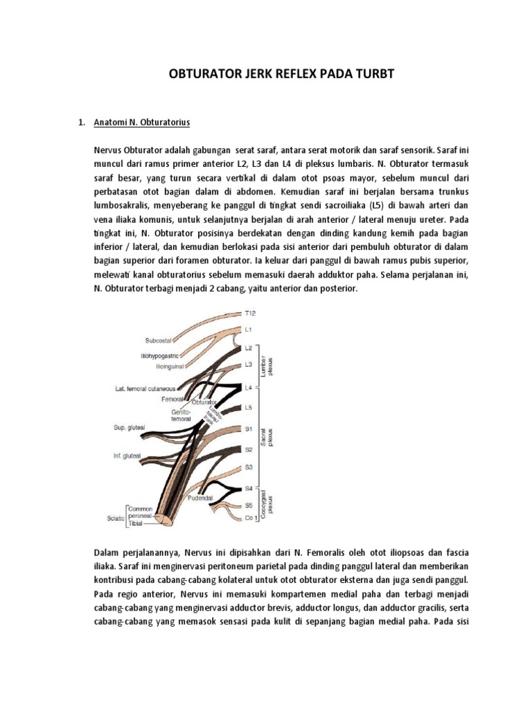 Obturator Jerk Reflex pada TURBT | PDF