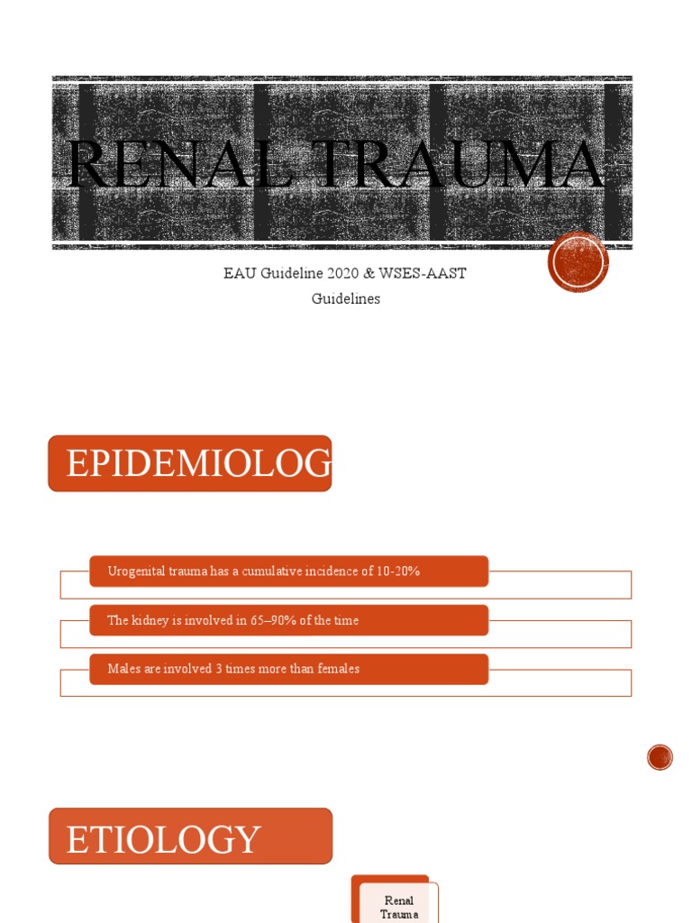 Renal Trauma: EAU Guideline 2020 & WSES-AAST Guidelines | PDF | Major ...