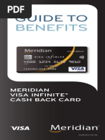Visa | PDF | Visa Inc. | Credit Card