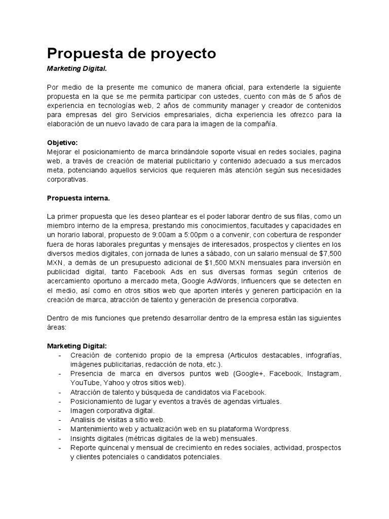 Propuesta de Proyecto MKT Digital | PDF | Publicidad | Marketing
