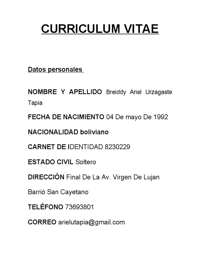 CURRICULUM VITAE Ariel | PDF