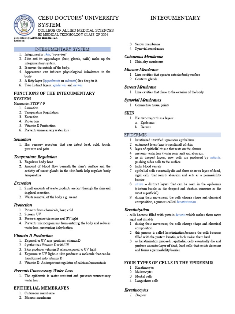 Integumentary System | PDF | Integumentary System | Skin