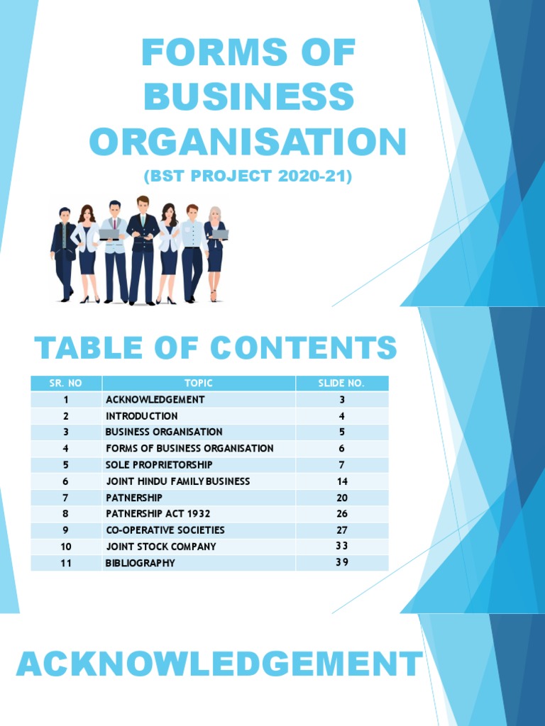 Aryan Sharma (BST Project) | PDF | Partnership | Sole Proprietorship