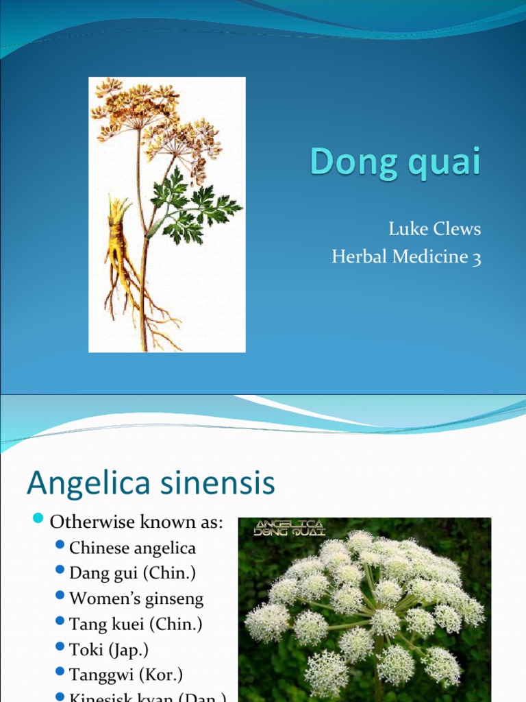 Dong Quai Regles – Dong Quai Pour Femme – YKOGEQ