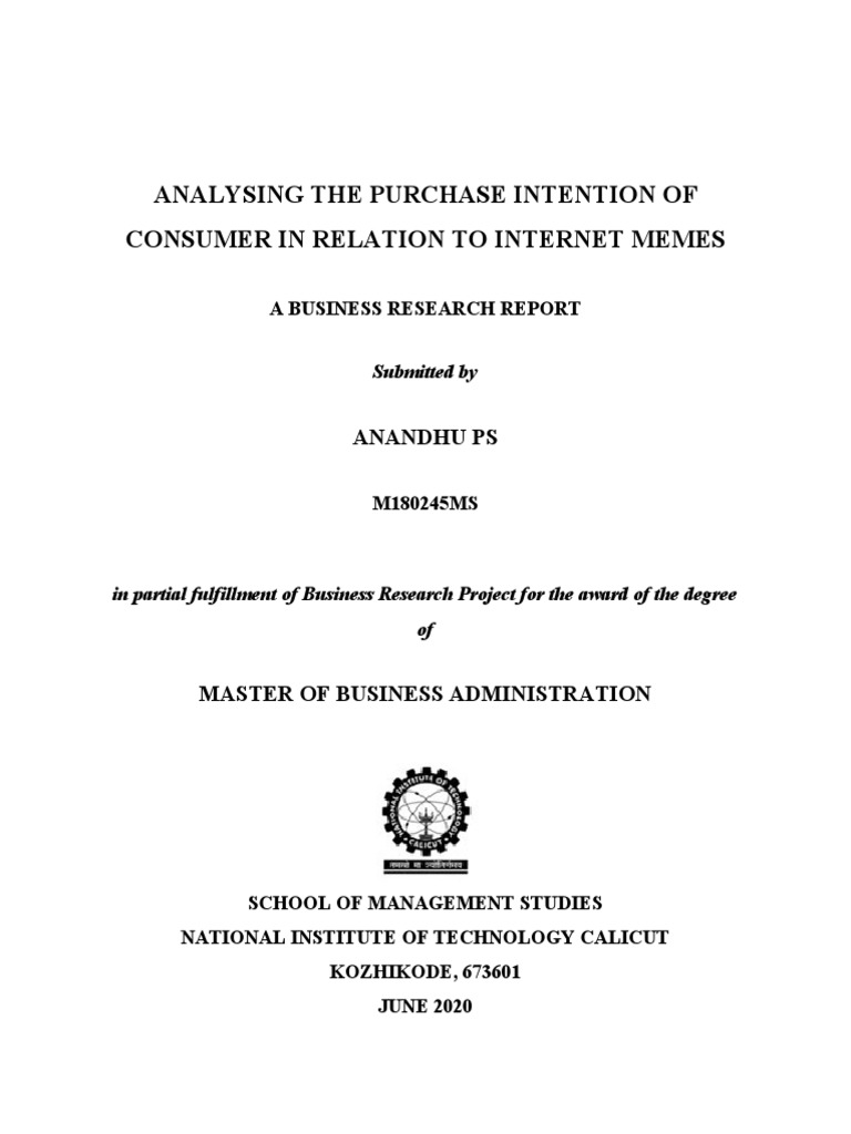 Internet Memes & Consumer Behavior | PDF