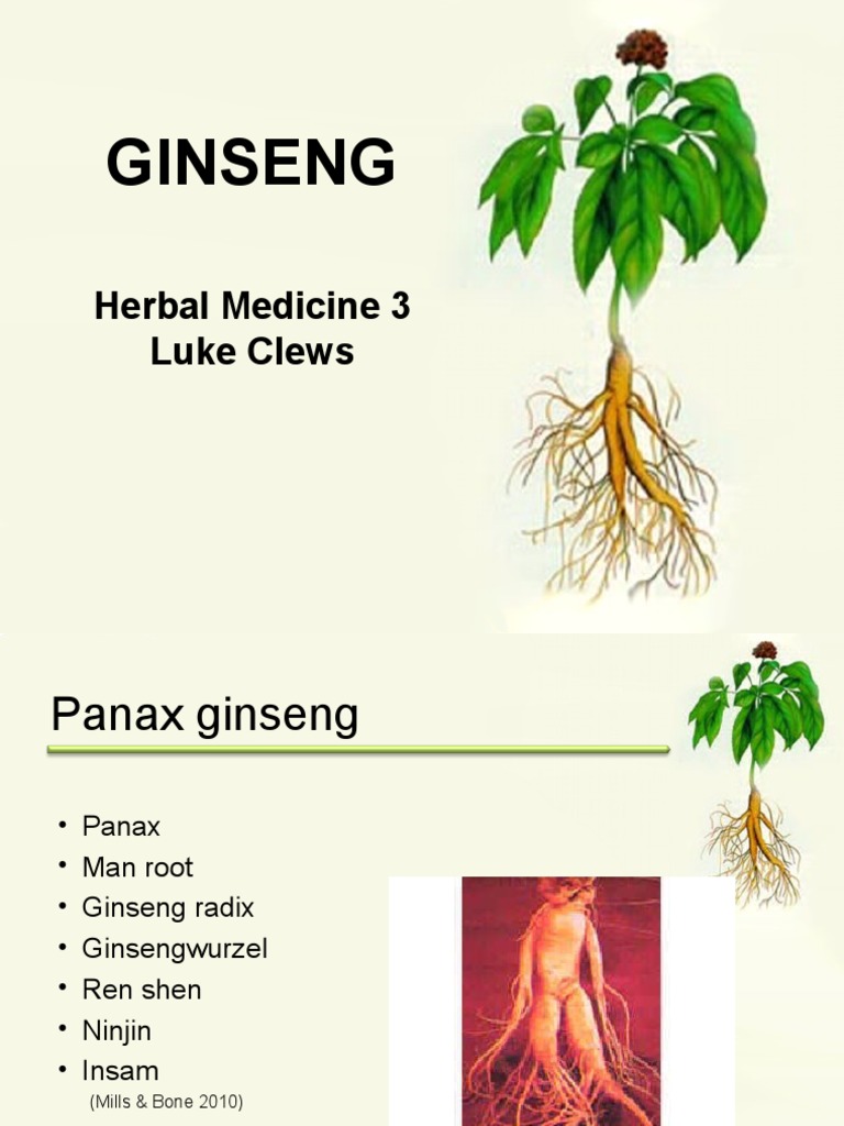 Ginseng: Herbal Medicine 3 Luke Clews | PDF | Wellness | Medical