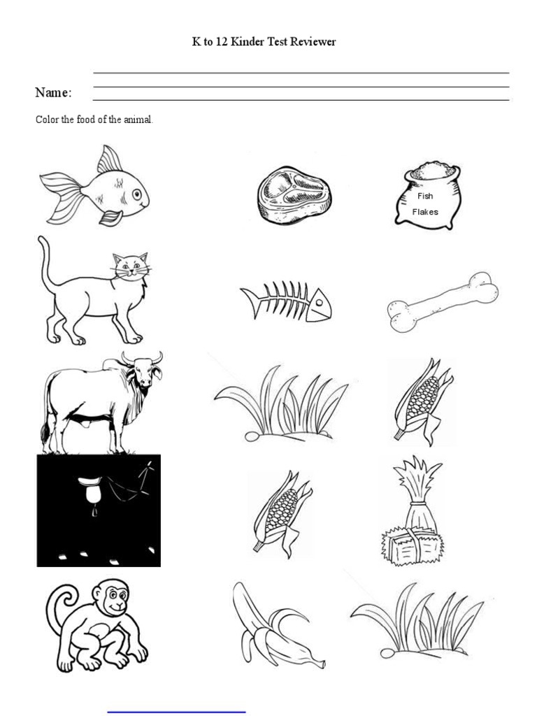Kindergarten Test Reviewer Sample | PDF | Teaching Methods & Materials