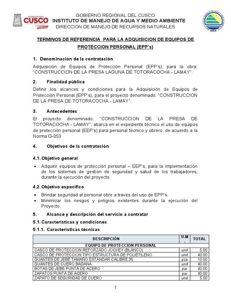 TDR EPPS Final SEGURIDAD Y SALUD EN EL TRABAJO | PDF | Casco | Bienes de consumo