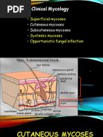 Drugs Used in The Treatment of Integumentary System Disorders | PDF ...