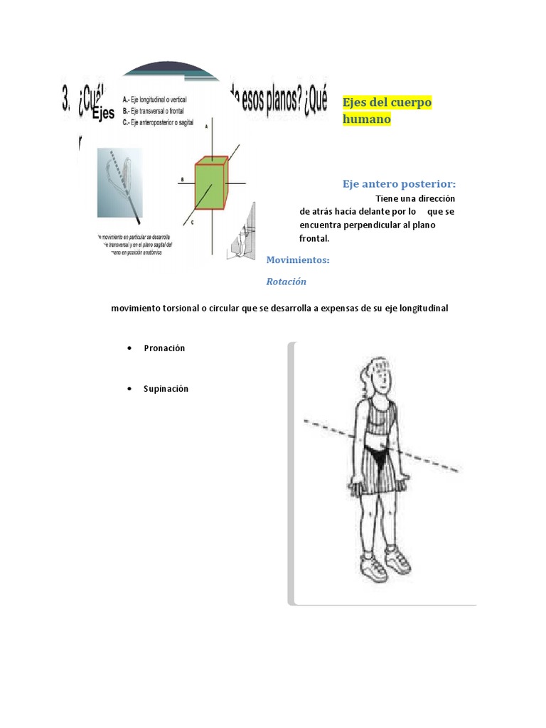 Ejes Del Cuerpo Humano 3 | PDF