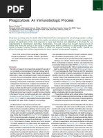 IMT ARCP Decision Aid 2019 (2023 Update FINAL) | PDF | Patient ...