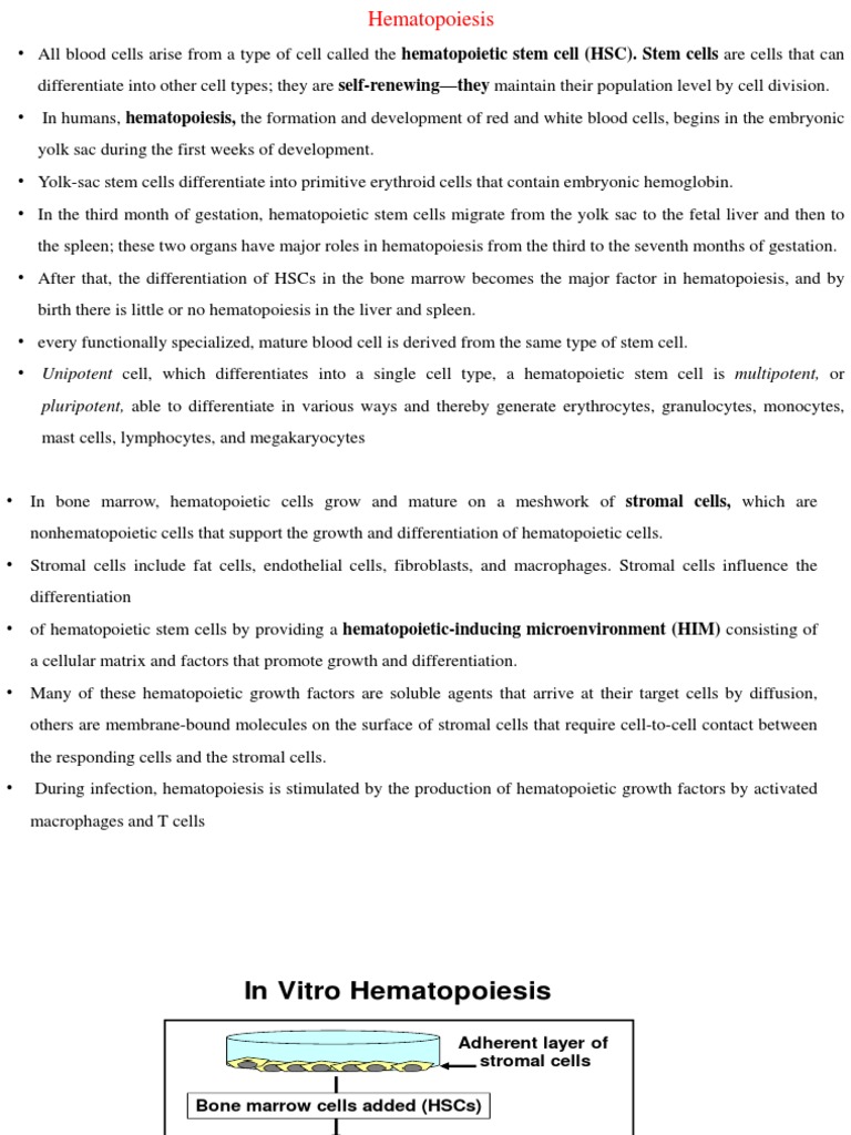 Cells of Immune System | PDF | Haematopoiesis | Lymphocyte