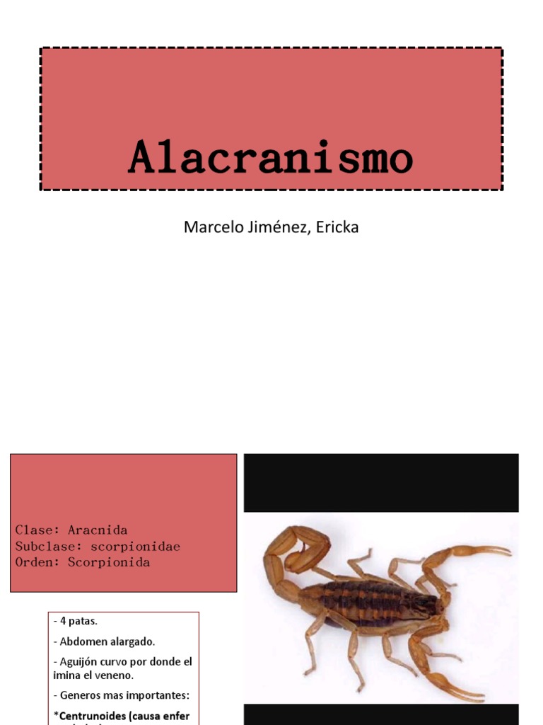 Alacranismo | PDF | Medicina CLINICA | Enfermedades y trastornos