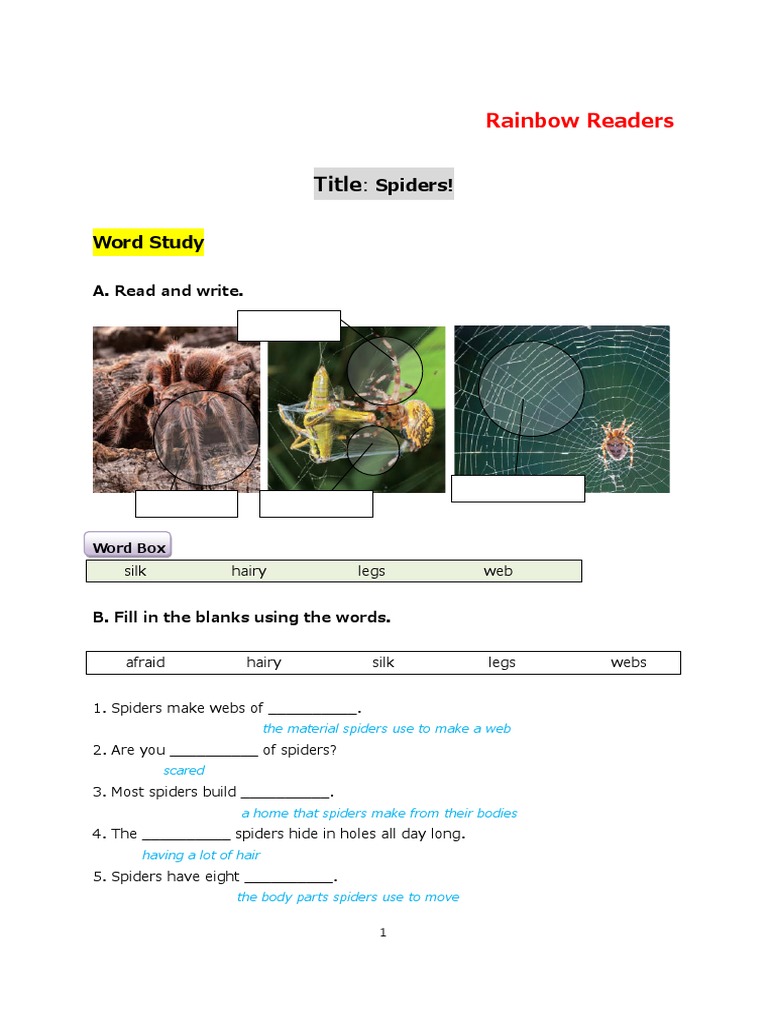 2 Spiders | PDF