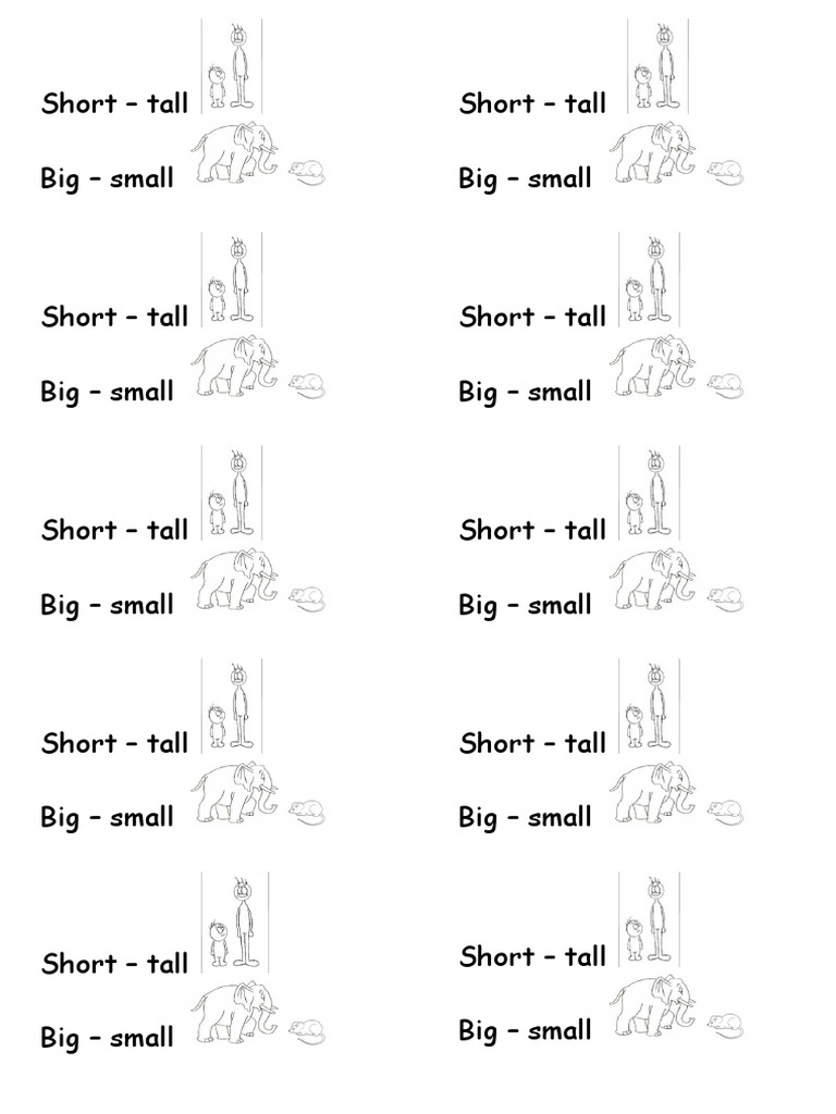 Short - Tall, Big-Small | PDF | Lifestyle