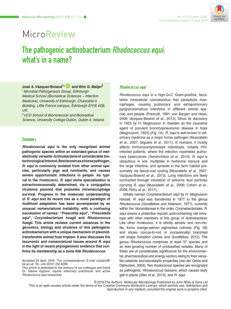 Rhodococcus Equi | PDF | Gene | Plasmid