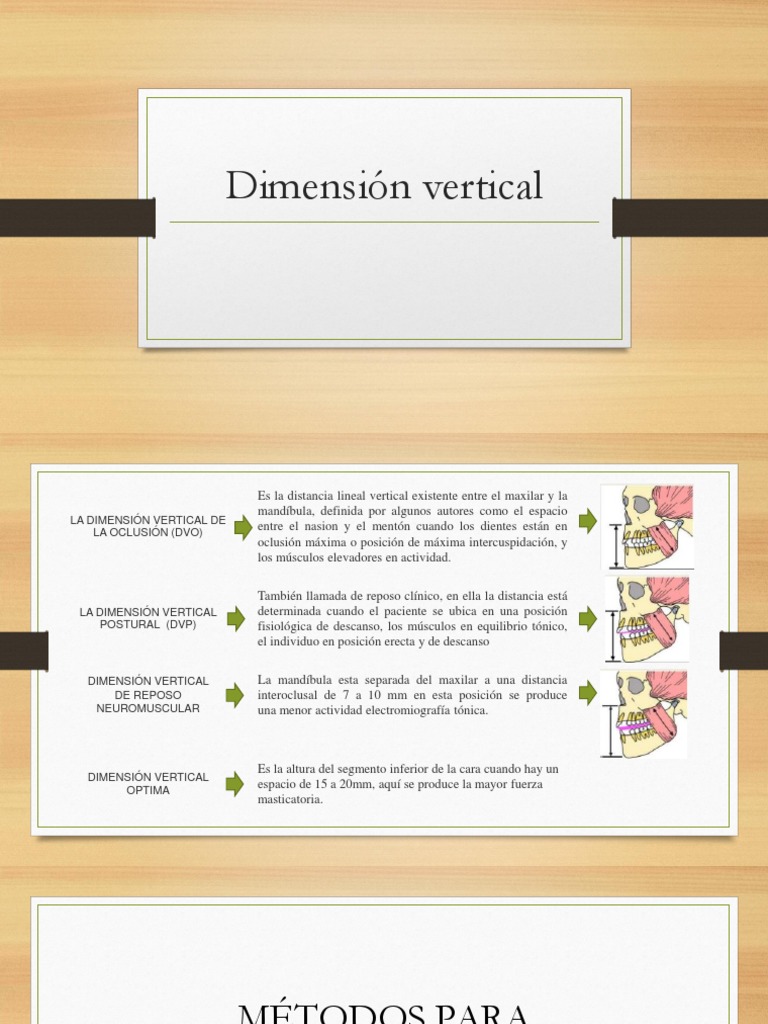 Dimensión Vertical en Oclusión y Reposo | PDF | Anatomía humana ...