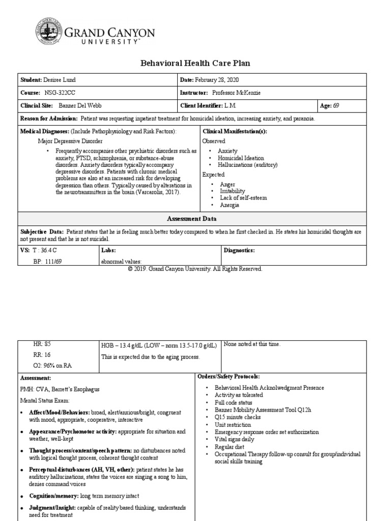 Behavioral Health Care Plan: Assessment Data | PDF | Mental Disorder ...
