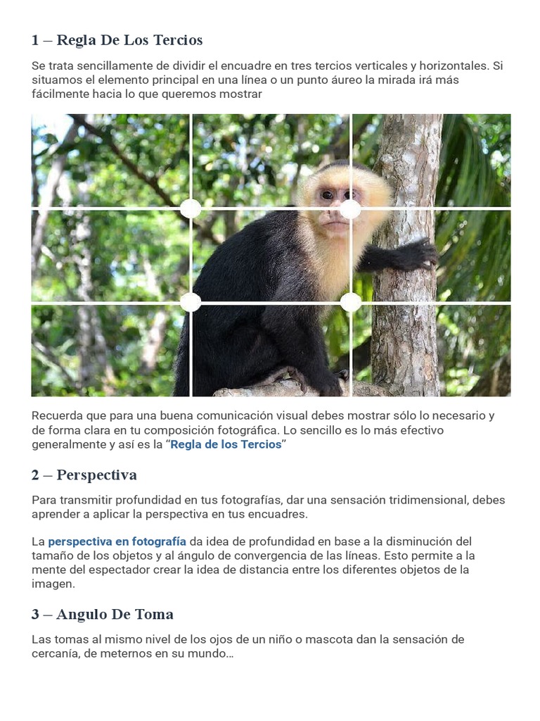 17 Reglas de Composición Fotográfica para Mejorar Tus Fotos | Descargar ...