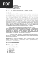 Extracción de ADN - Método CTAB | PDF