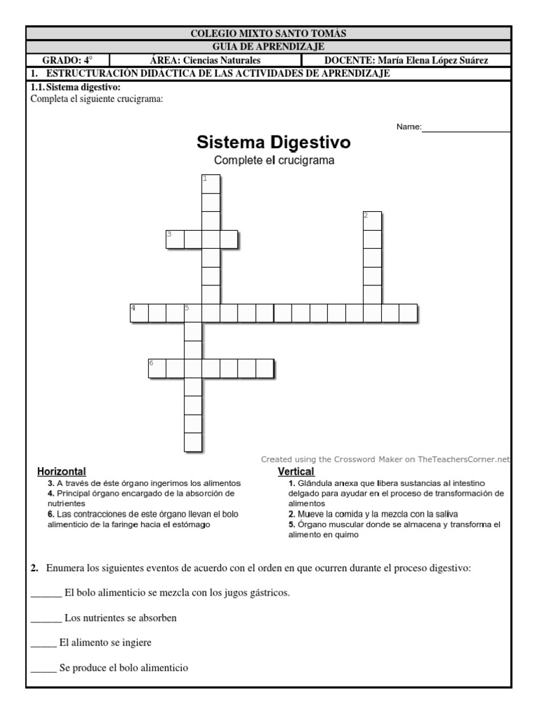 Ciencias Naturales 4° MEL | PDF | Sistema digestivo humano | Digestión