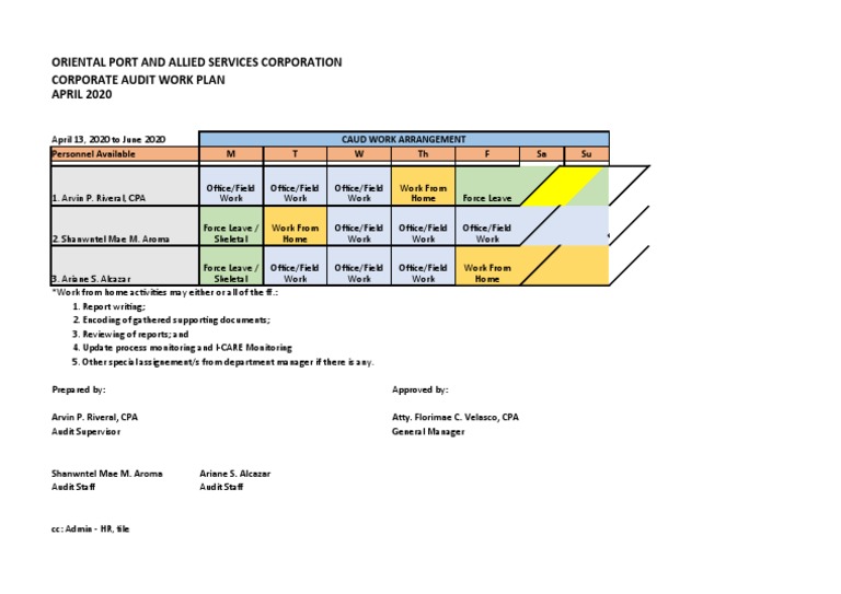 Revised Corp Audit Work Plan | PDF