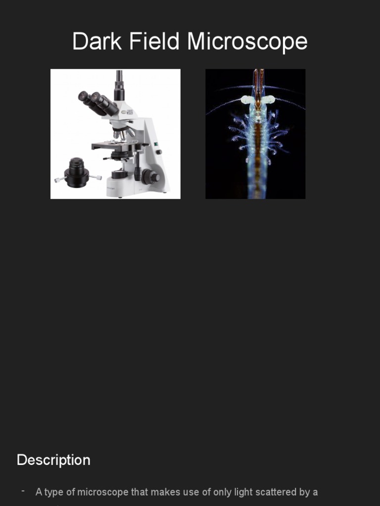 Dark Field Microscope Overview | PDF