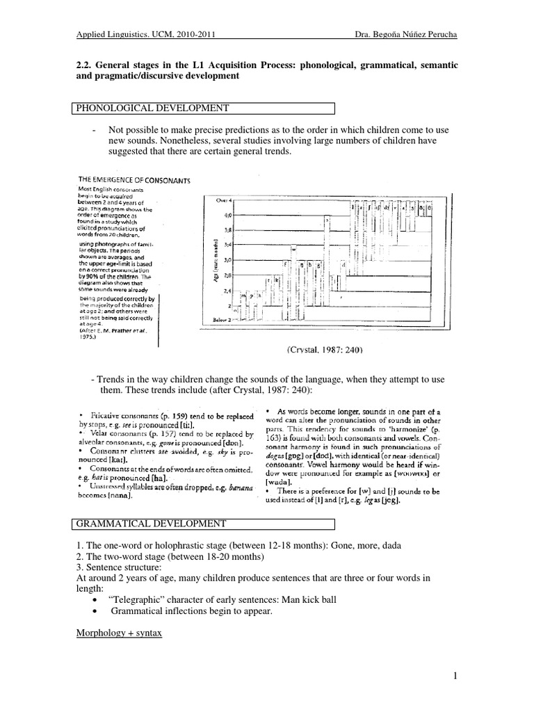 2.2. General Stages in The L1 Acquisition Process: Phonological ...
