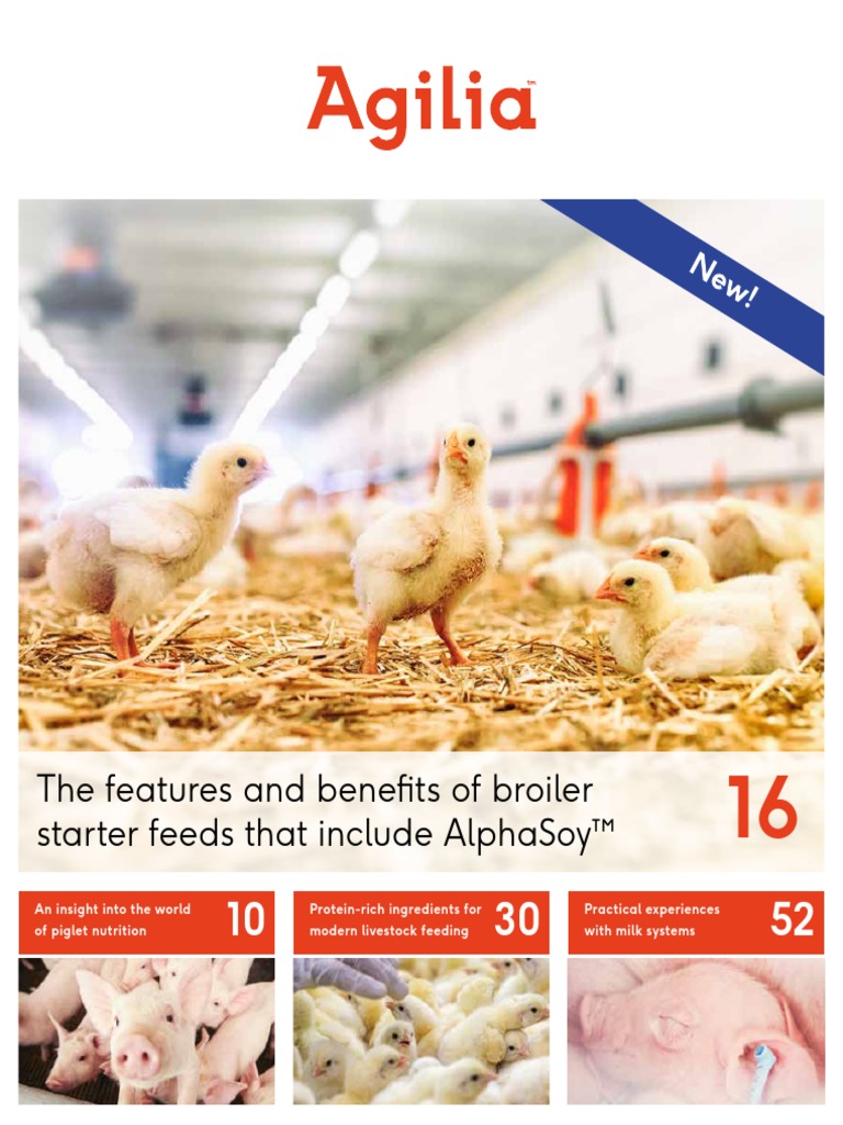 The Features and Benefits of Broiler Starter Feeds That Include ...