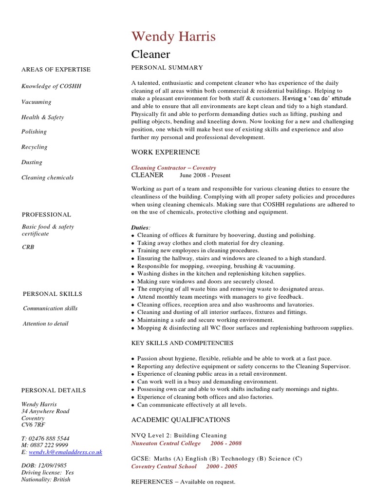 Cleaner CV Template PDF | Download Free PDF | Vacuum Cleaner | Safety