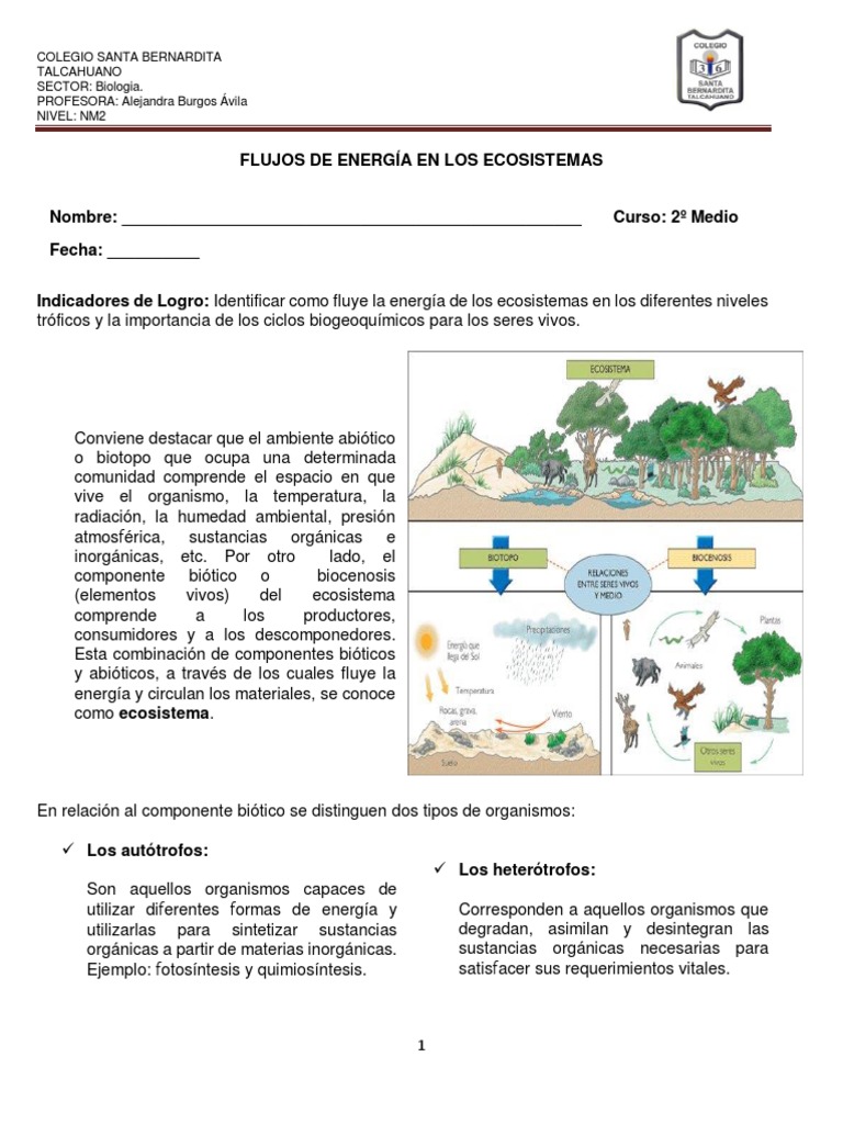Guia de Estudio Ecosistemas NM2 Biologia PDF | PDF | Biomasa (Ecología ...