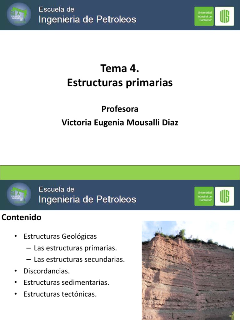 Mousalli - Tema 4. Estructuras Primarias | PDF | Estrato | Roca (geología)