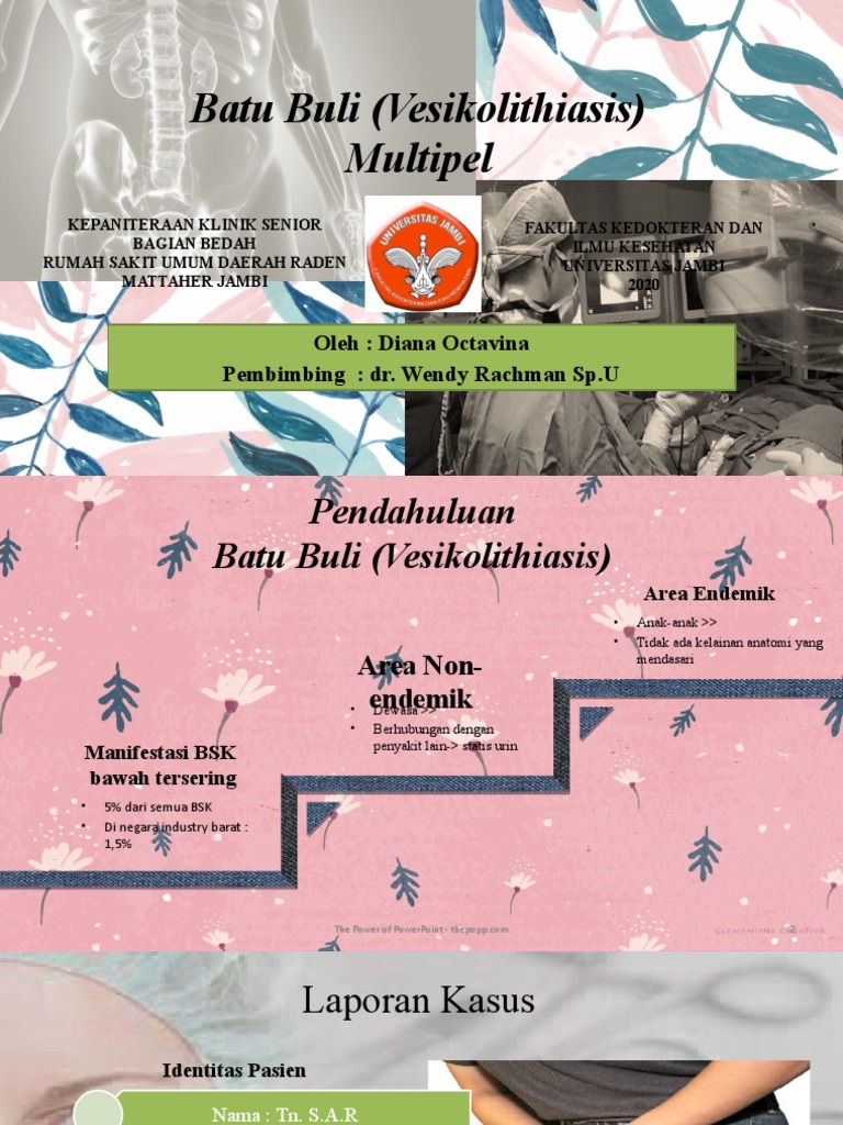 Batu Saluran Kemih | PDF