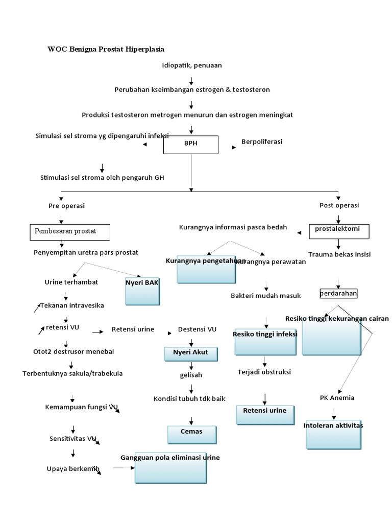 Woc BPH + Askep BPH | PDF