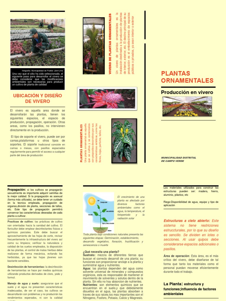 VIVERO Triptico | PDF | Plantas | Agua